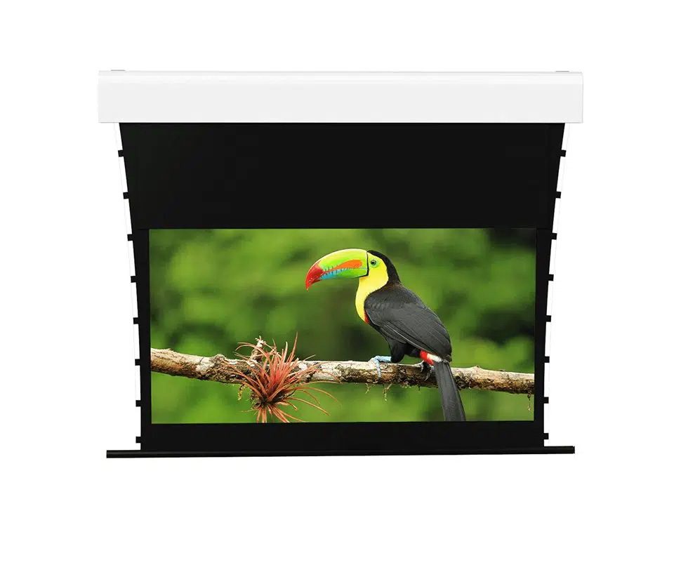 Xtrem Screen - Châssis motorisés en applique