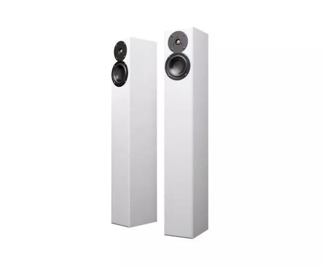 Totem Acoustic Arro - HIFI LINK Lyon Geneve Annecy