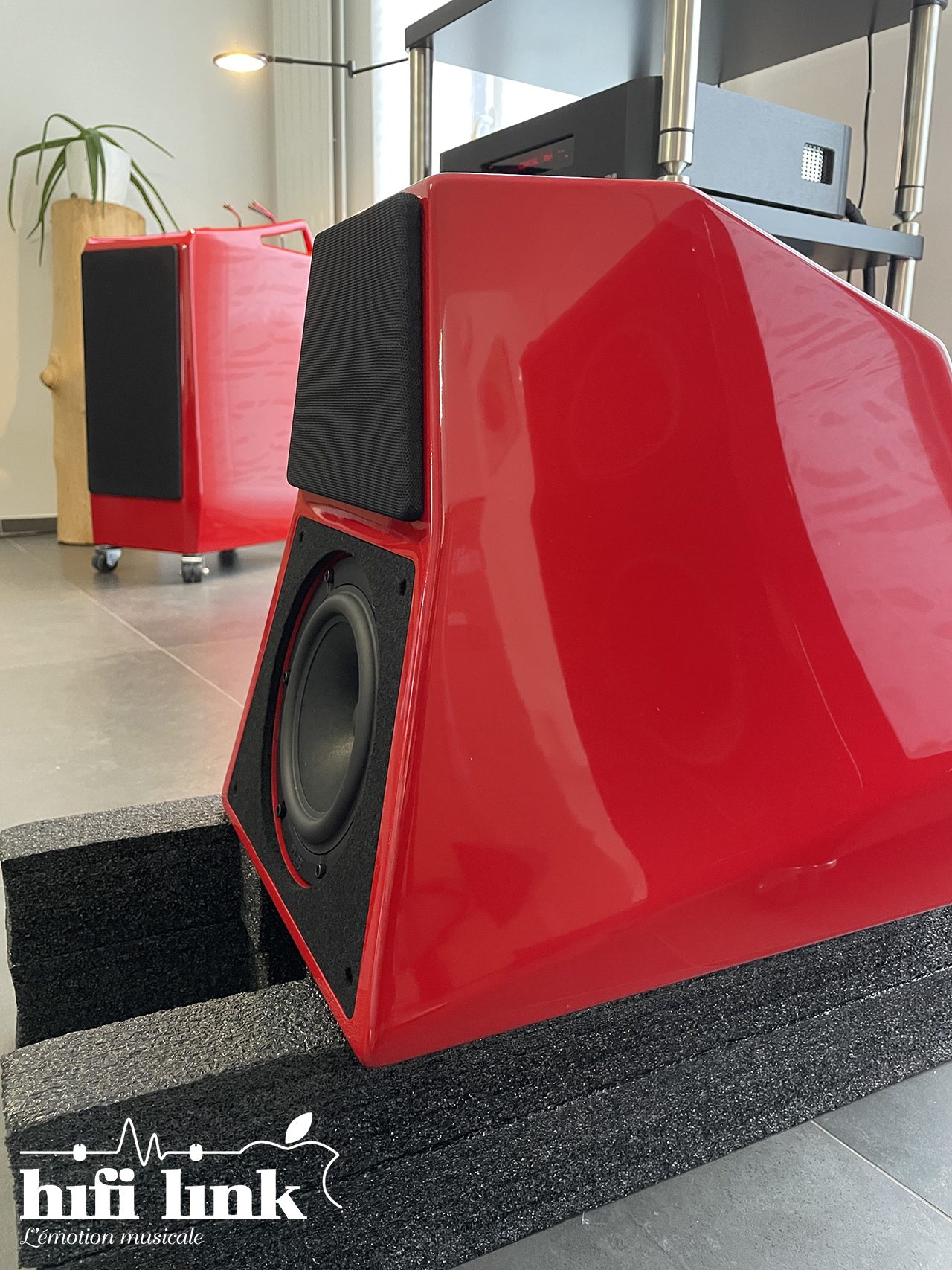 Installation Hifi de la semaine à Paris : Wilson Audio / Karan / APL